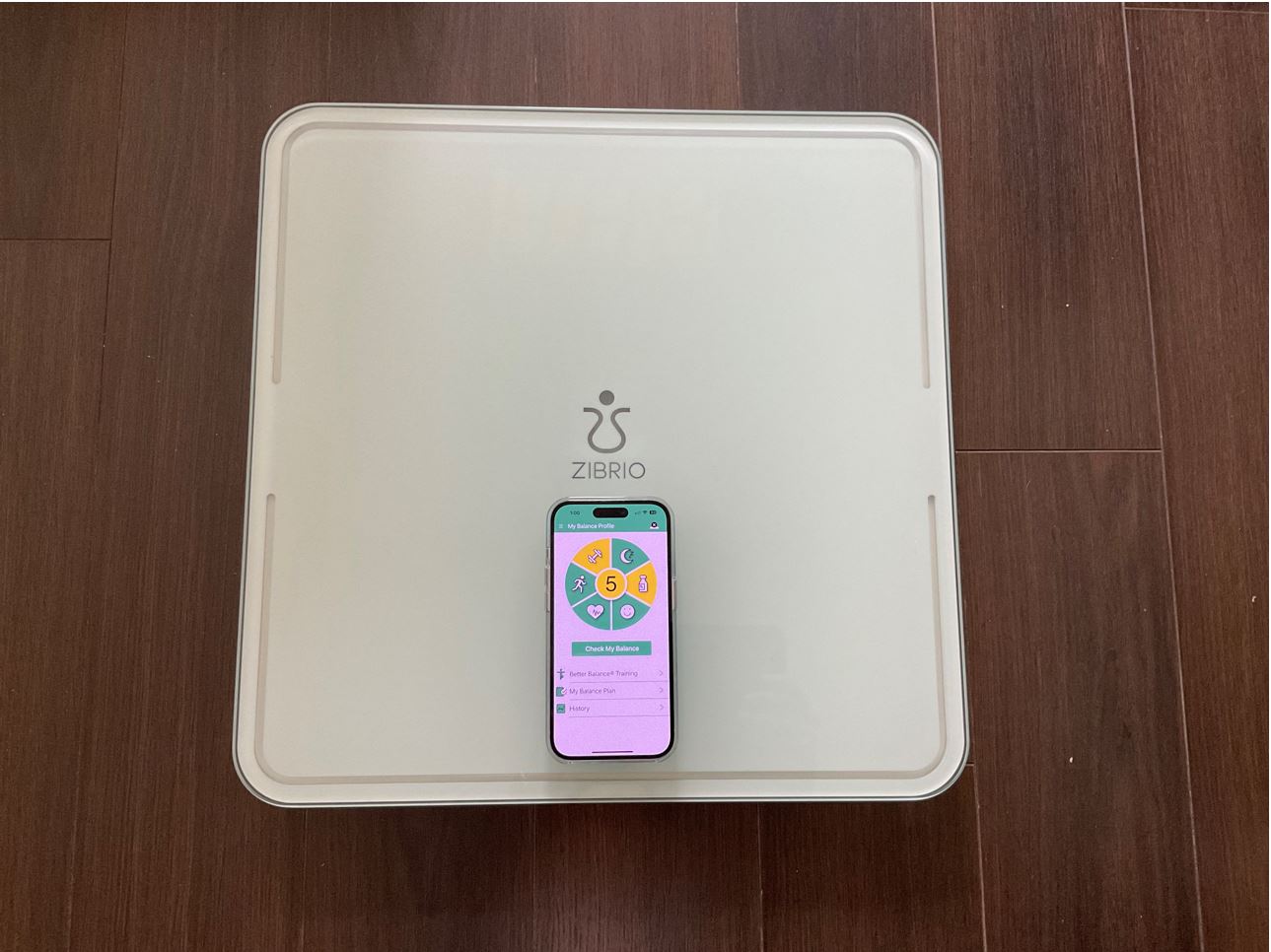 Évaluation de l’échelle de stabilité de Zibrio - Blogue Best Buy